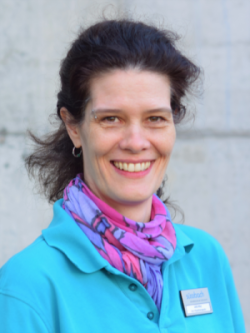 Therapie und gesundheitsorientiertes Training - Süssbach Therapien - Brugg